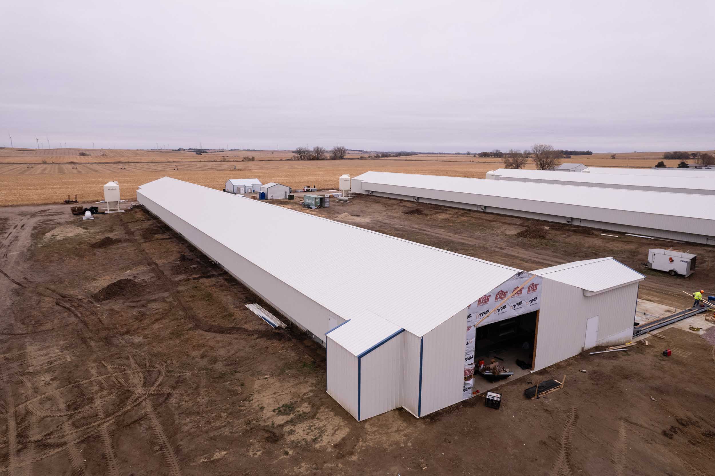 SINGLE-LEVEL CAGE-FREE CONVERSION PULLET BUILDINGS - Heartland Builders